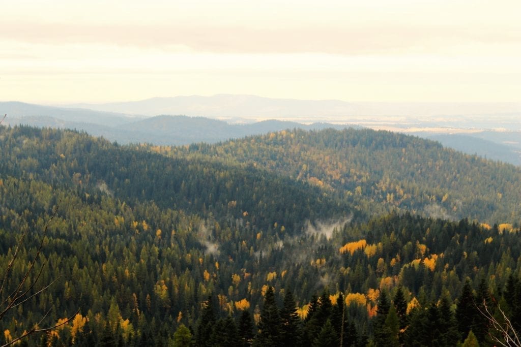 25 Spring Activities to do in Spokane, Washington - BumbleBar